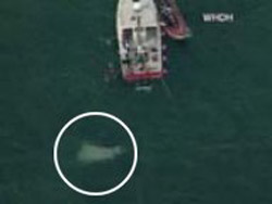 Crash of a Beechcraft 1900D in Hyannis: 2 killed | Bureau of Aircraft ...